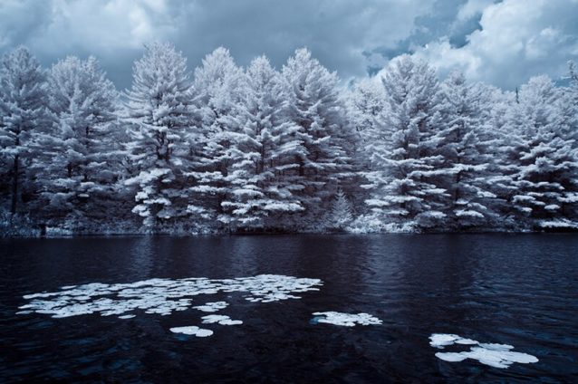 Les clés pour dominer la photo infrarouge - Photo24