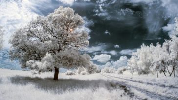 Les clés pour dominer la photographie infrarouge - Photo24