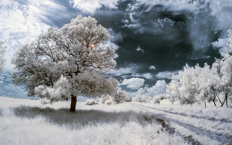 30 idées choc pour la photographie infrarouge - Photo24