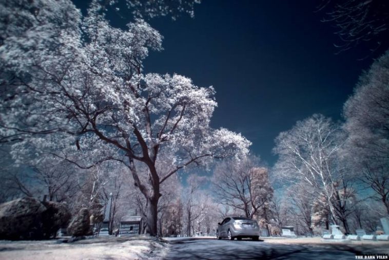 30 idées choc pour la photographie infrarouge - Photo24