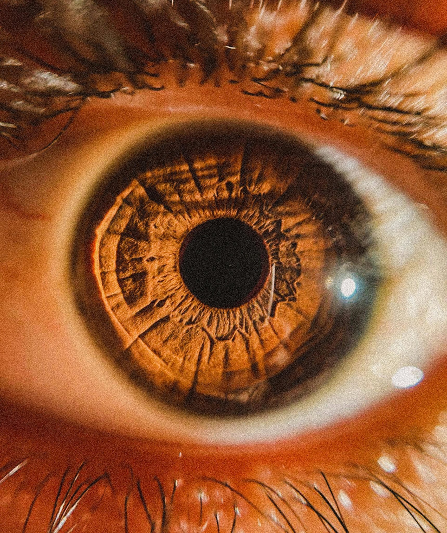 Des photos des yeux impressionnantes en 6 étapes - Photo24