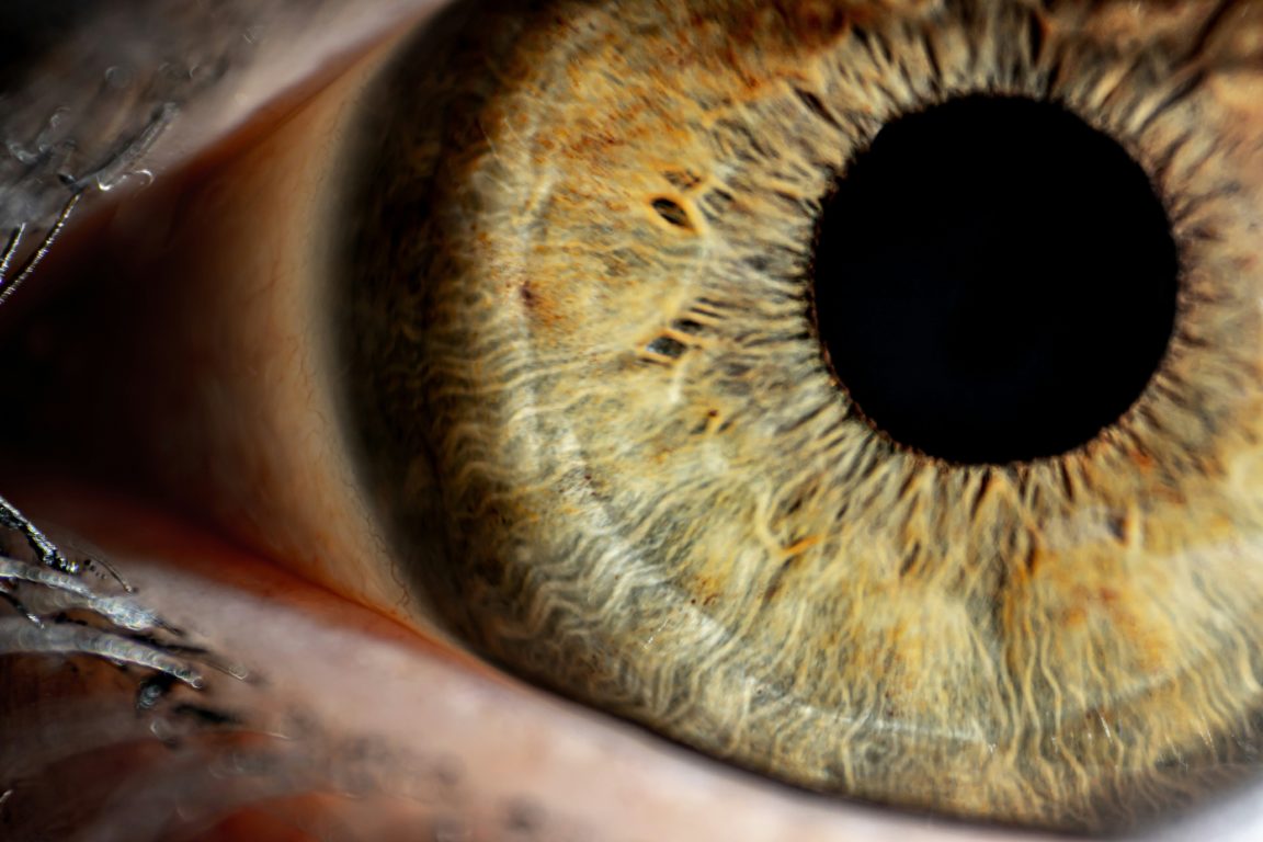 Des photos des yeux impressionnantes en 6 étapes - Photo24