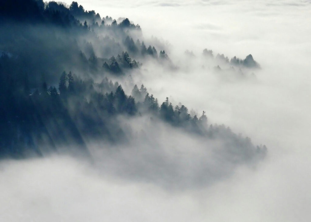 Photos du brouillard : 5 conseils pour triompher - Photo24